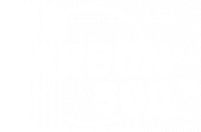 BioCarbonSoil_TM_Logo 3_web-01 - BioCarbon Soil